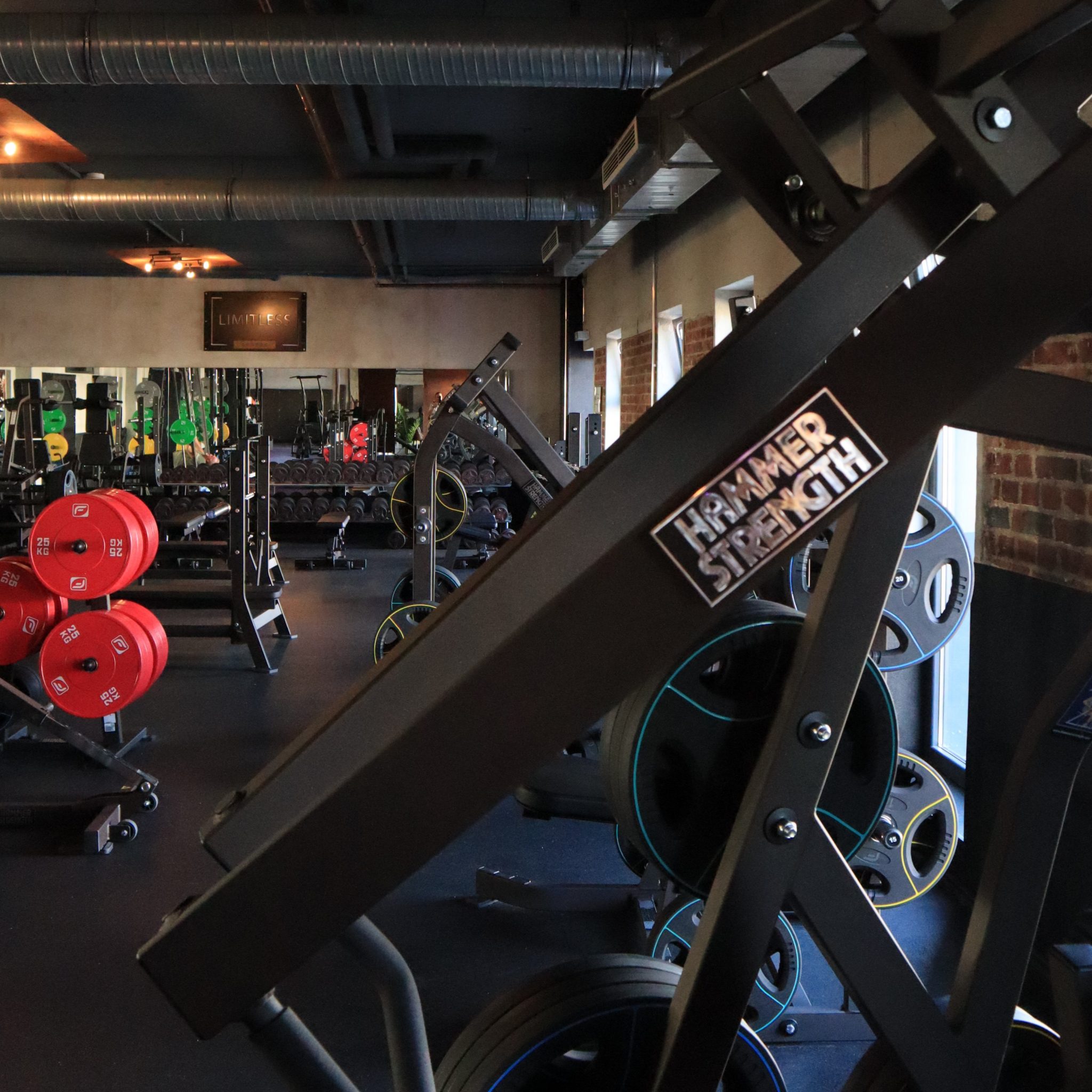 LIMITLESS Marl – LIMITLESS